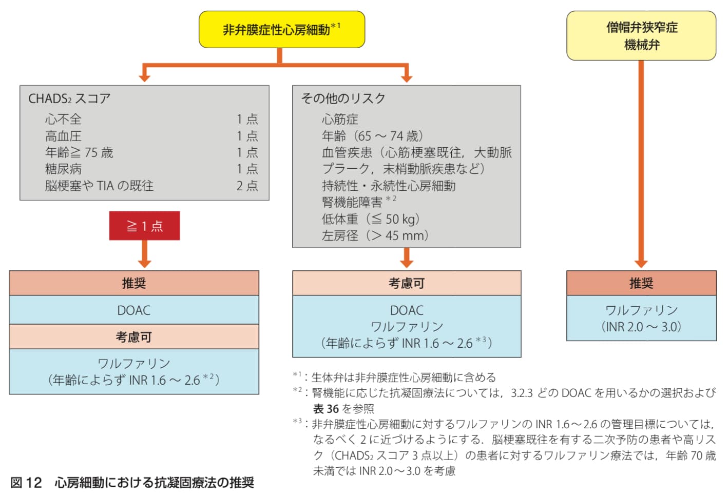 DOACとワルファリンの比較（特徴・使い分け） | KusuriPro-くすりがわかる！薬剤師ブログ