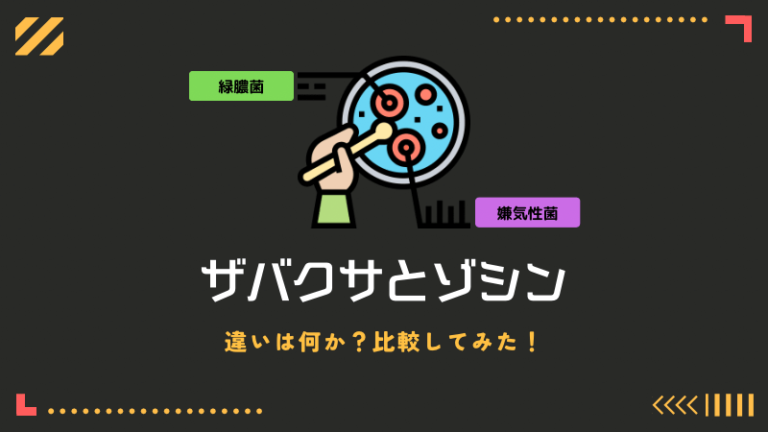 ザバクサとゾシンの違い【6つのポイント】 | KusuriPro-くすりがわかる！薬剤師ブログ
