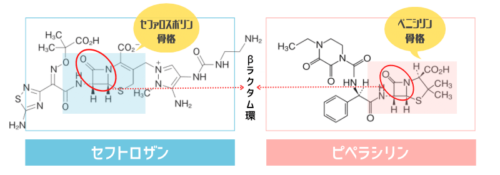 ザバクサとゾシンの違い【6つのポイント】 | KusuriPro-くすりがわかる！薬剤師ブログ