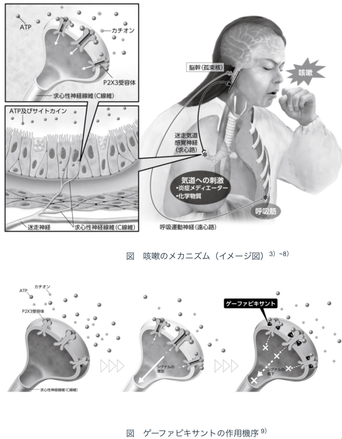 リフヌア錠の特徴を読み解く【4つのポイント】 | KusuriPro-くすりがわかる！薬剤師ブログ
