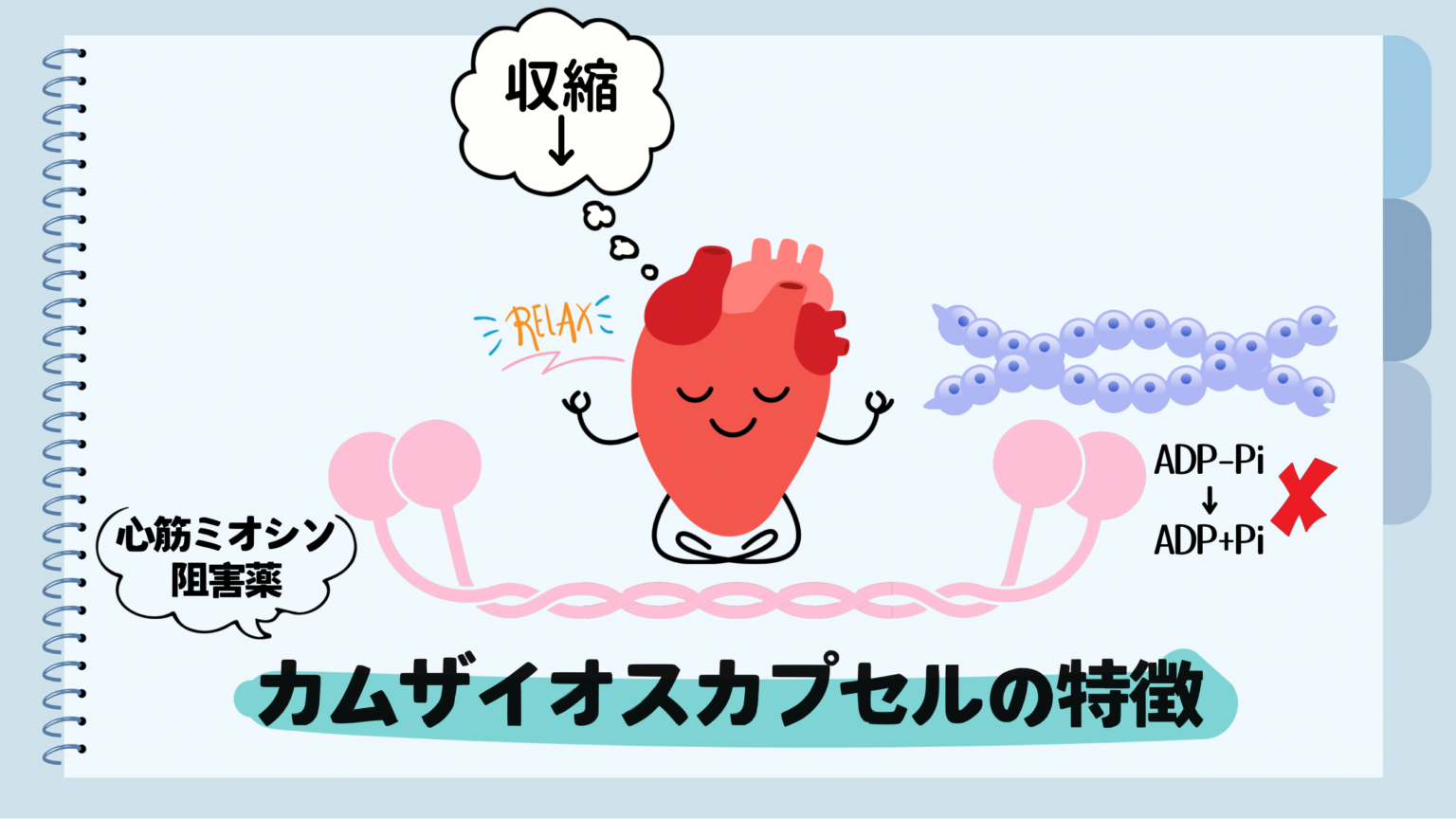 カムザイオスカプセルの特徴「読み解く5つのポイント」 | KusuriPro-くすりがわかる！薬剤師ブログ